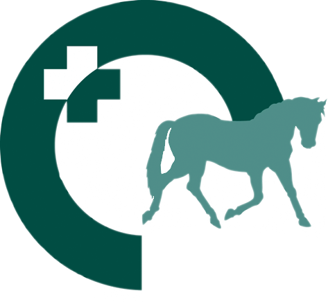 Horse Veterinarian Symbol