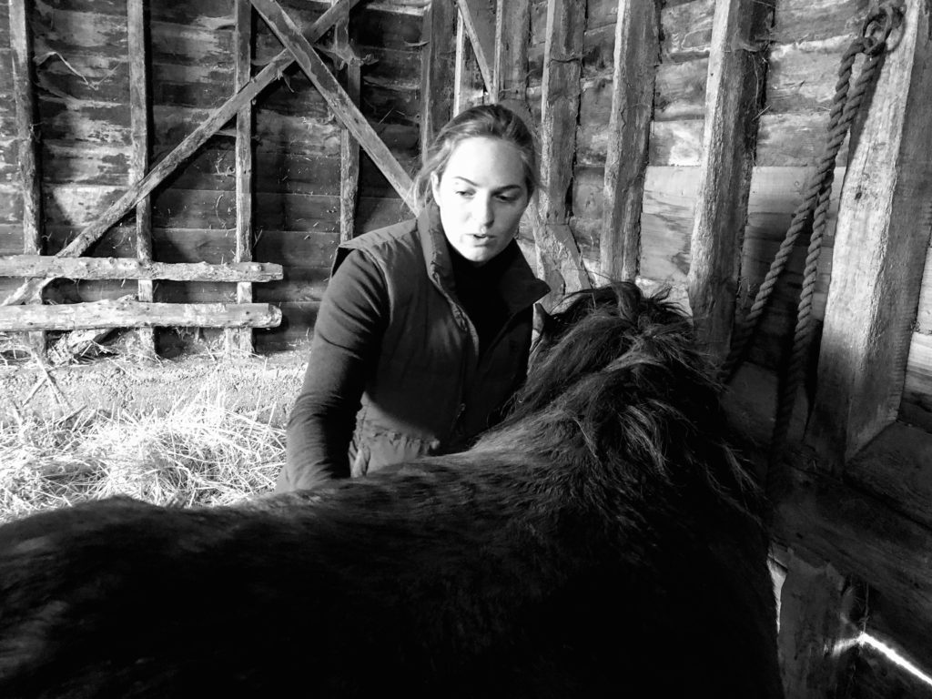 Contact « Practical Equine Nutrition